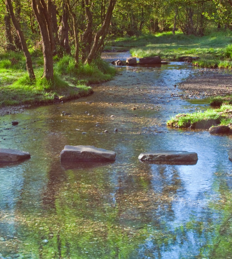 Team | Coller Capital