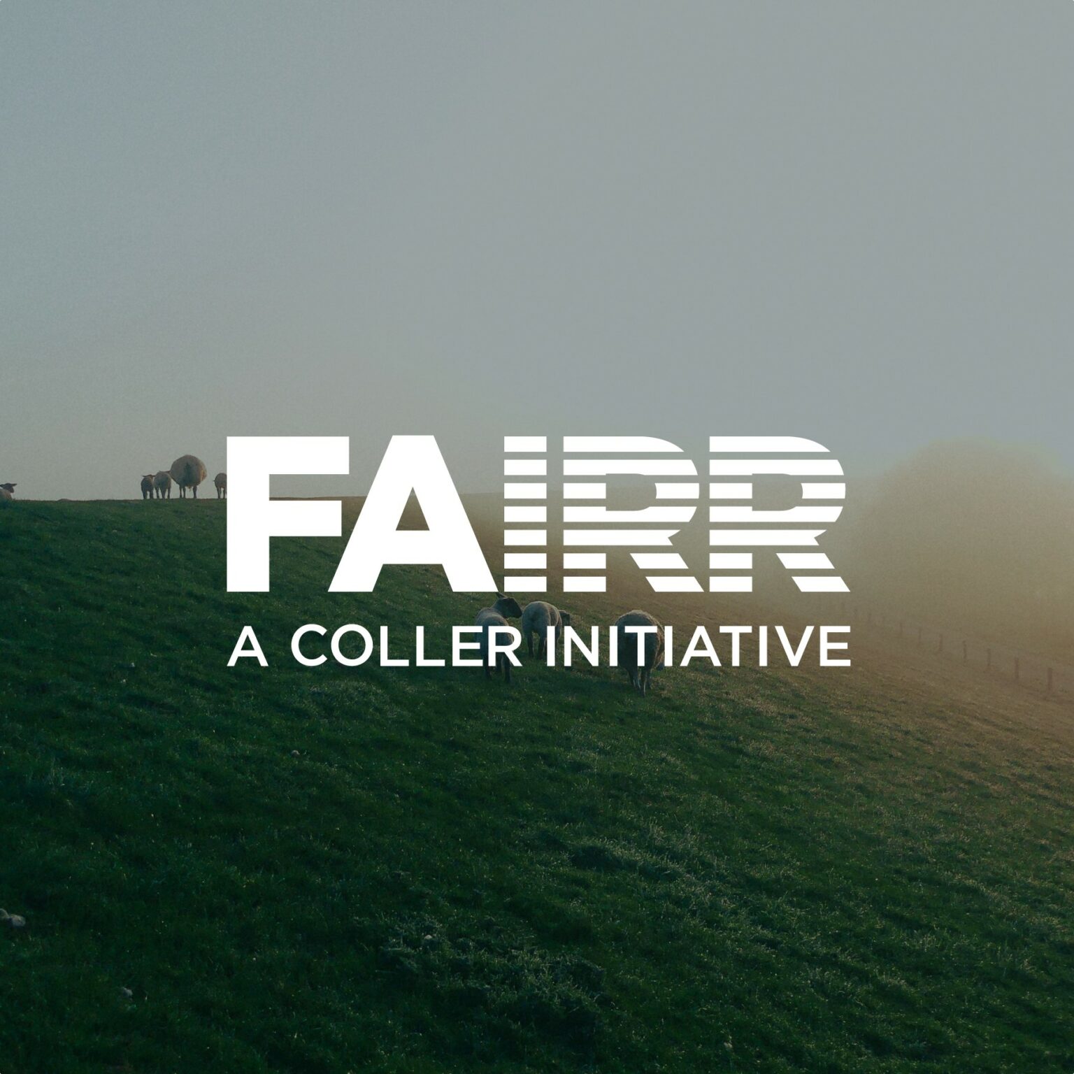 About Coller Capital | Pioneers in Secondaries